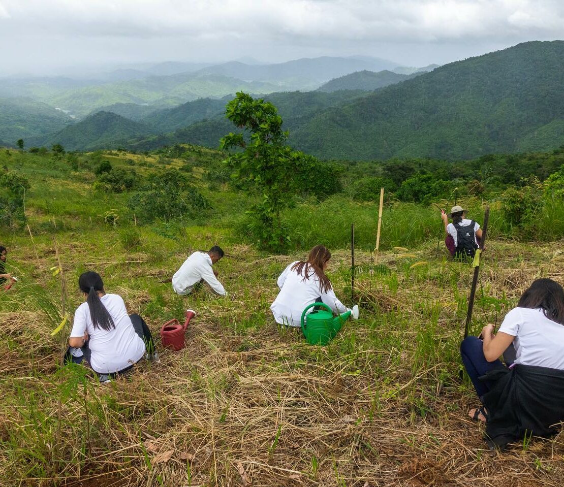 Be A Forest Ranger For A Day In Ipo Watershed Nolisoli